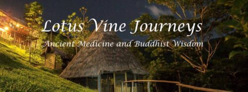 Lotus Vine Journeys - Tarapoto, Peru - HealingMaps