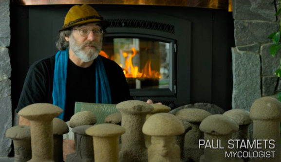 Psychedelic Documentaries: The 10 Best To Watch Right Now