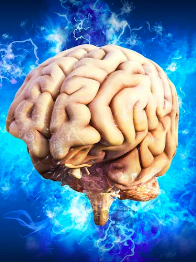 This is Your Brain on Psychedelics Story - Healing Maps