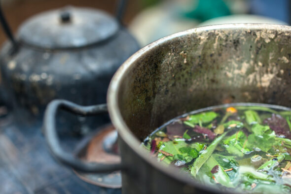 Ayahuasca: What it Feels Like, Where it Comes From, and How it Works ...