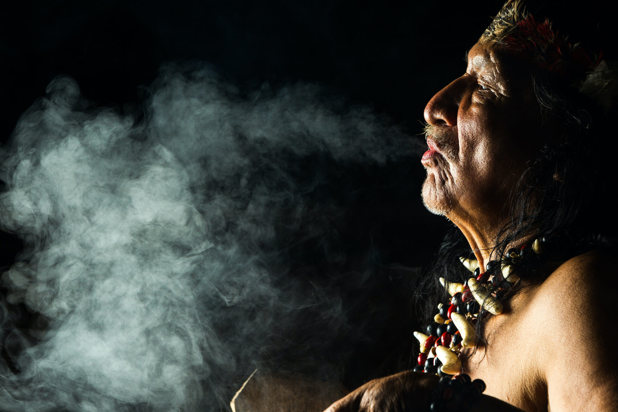 Ayahuasca: What it Feels Like, Where it Comes From, and How it Works ...