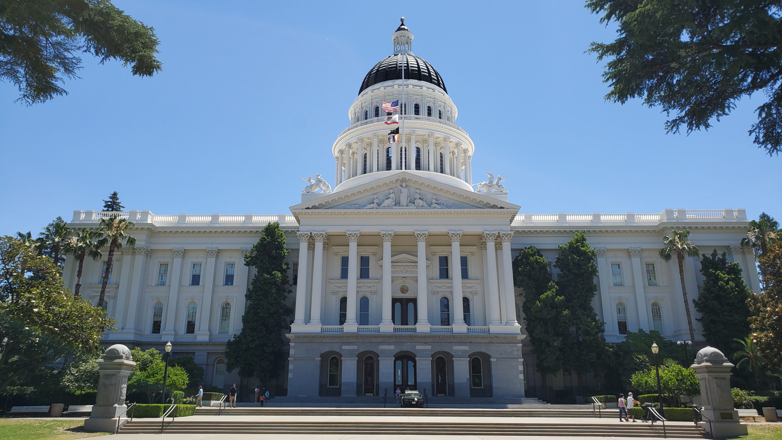 Senate Bill 519 Opinion: California Wasn't Ready For The Magic