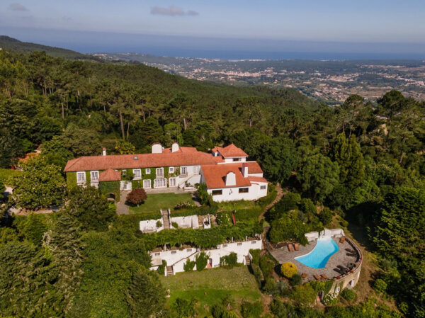 Root Healing - Sintra, Portugal - HealingMaps