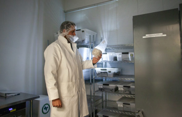 Filament Health: Formulating Natural Psilocybin And Ayahuasca