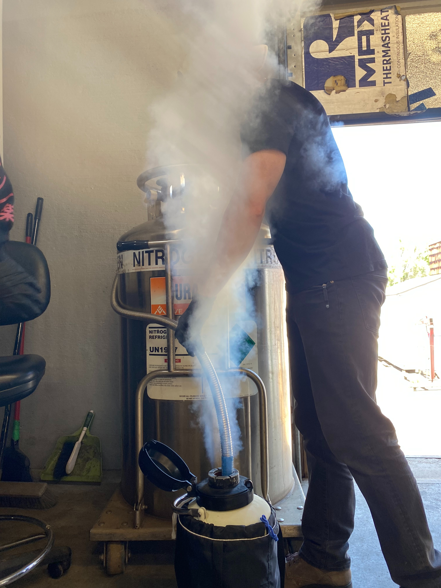 Mushroom-Testing Labs Find Huge Differences in Psilocybin and Other ...