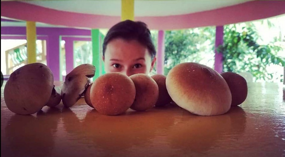 Divinity for the Non-religious: How Shroom Churches Offer Meaning